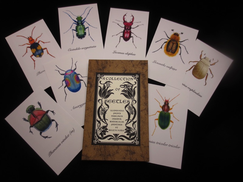 Books of Kell's Press Beetle Print Collection